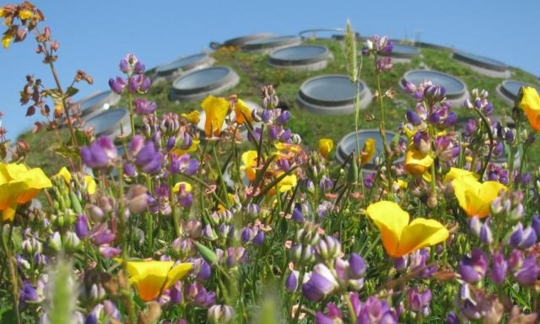 48 hours hop-on hop-off golden gate park & beach tour and California ...