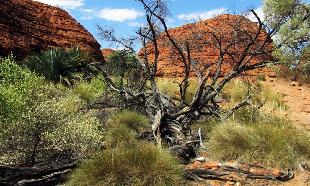 Que faire à Top End: activités, visites et excursions | musement