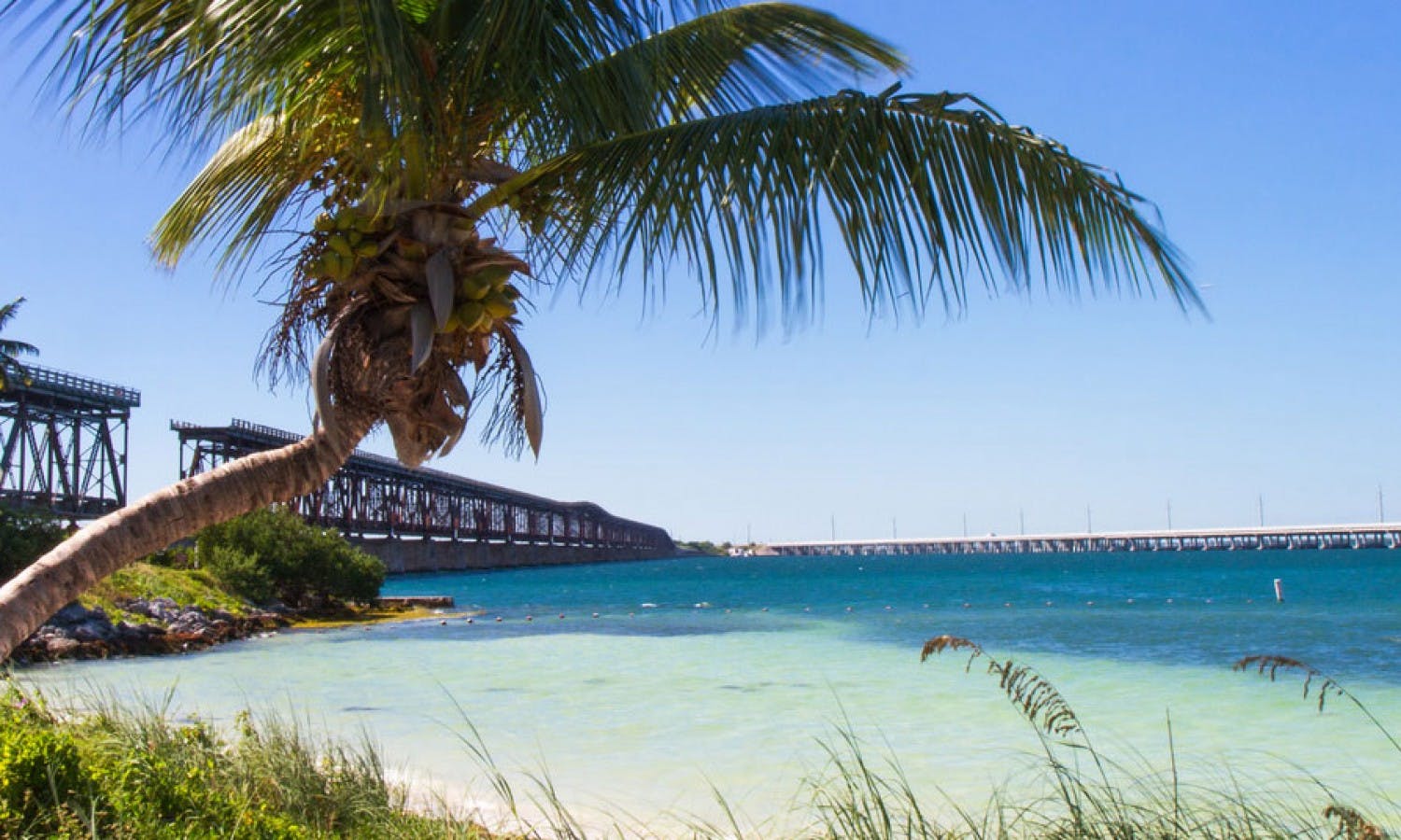 Cosa fare a Key West - Attrazioni, tour e attività | musement