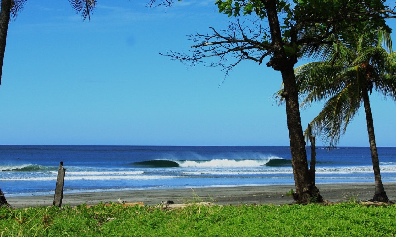 Things to do in Guanacaste : Museums and attractions | musement