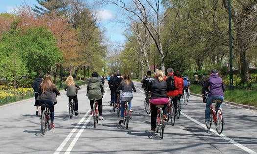 Central Park guided bike tour with map | musement