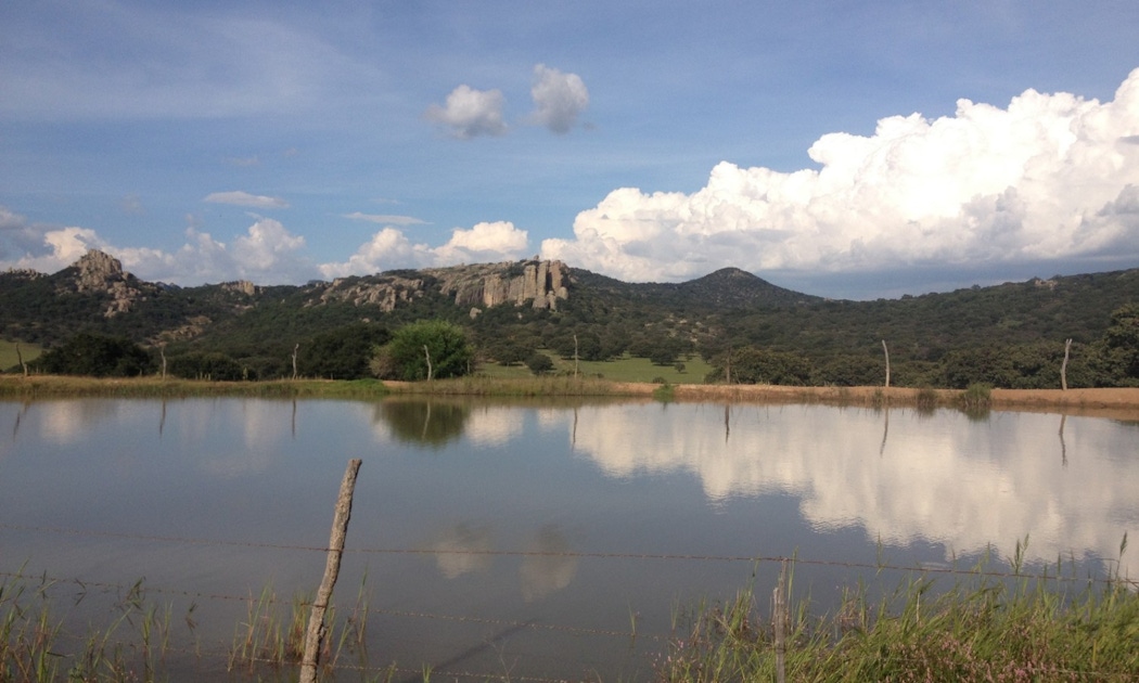 Actividades en Calvillo: visitas guiadas y atracciones | musement