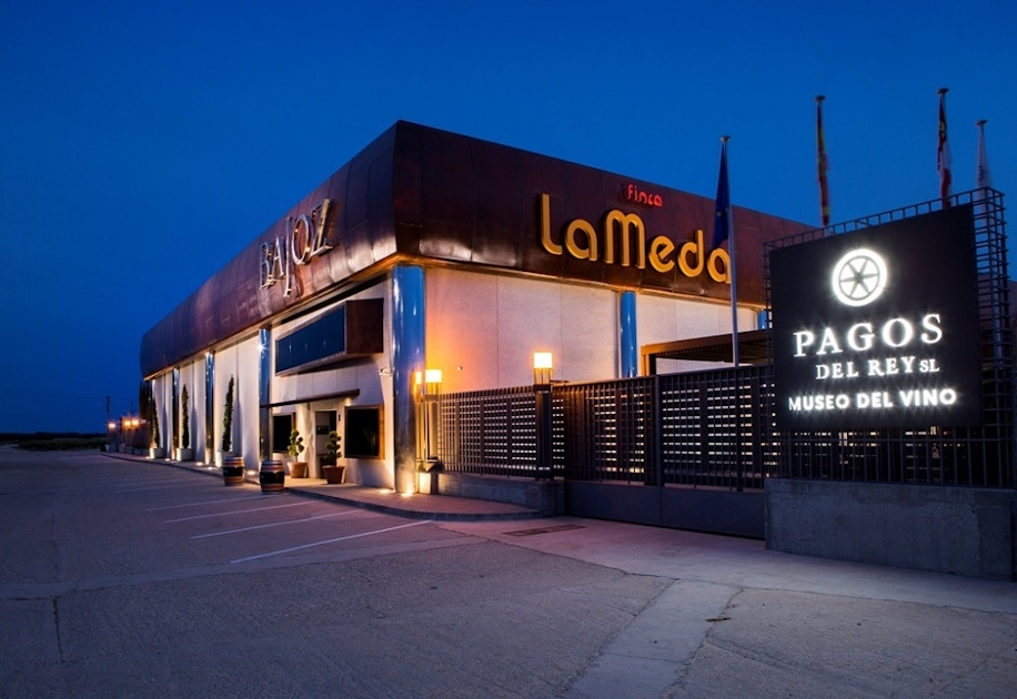 Guided visit to the Pagos del Rey Wine Museum with tasting and visit to ...
