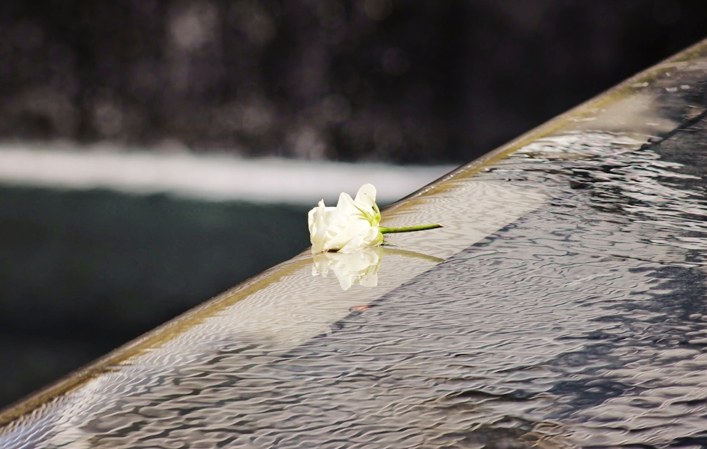 9-11 Ground Zero walking tour with optional entrance tickets | musement