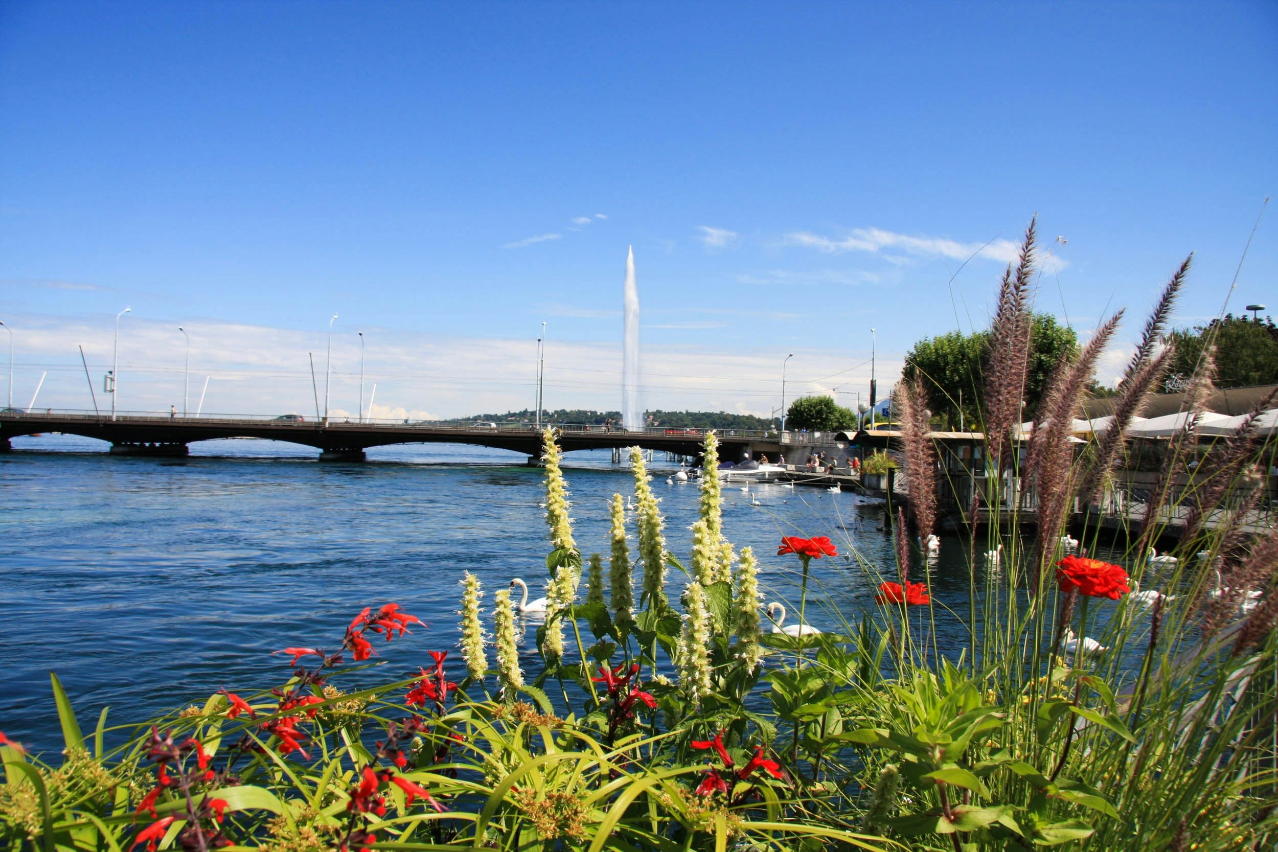 Things to do in Interlaken : Museums and attractions | musement