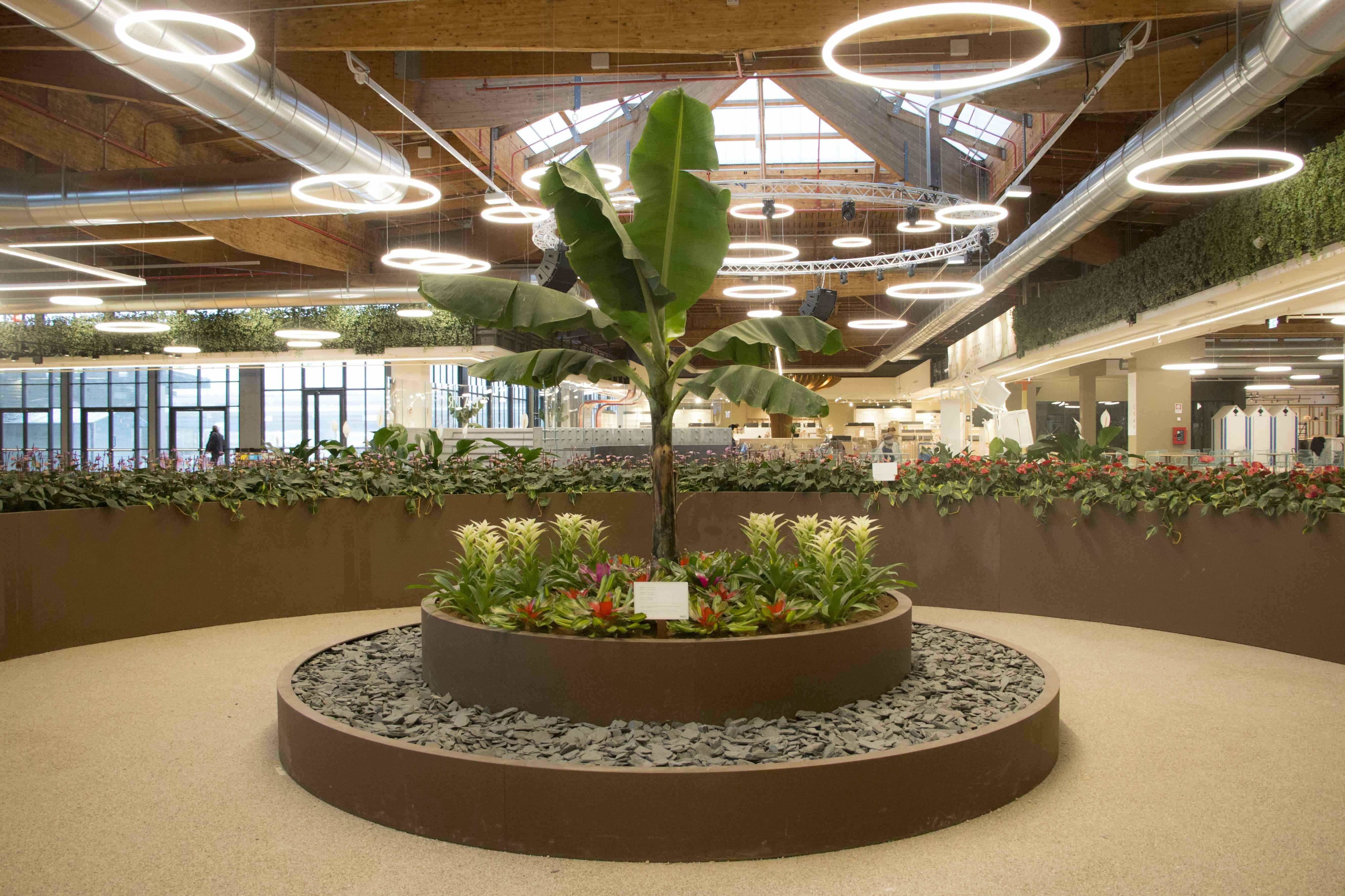 FICO Eataly World Bologna | musement