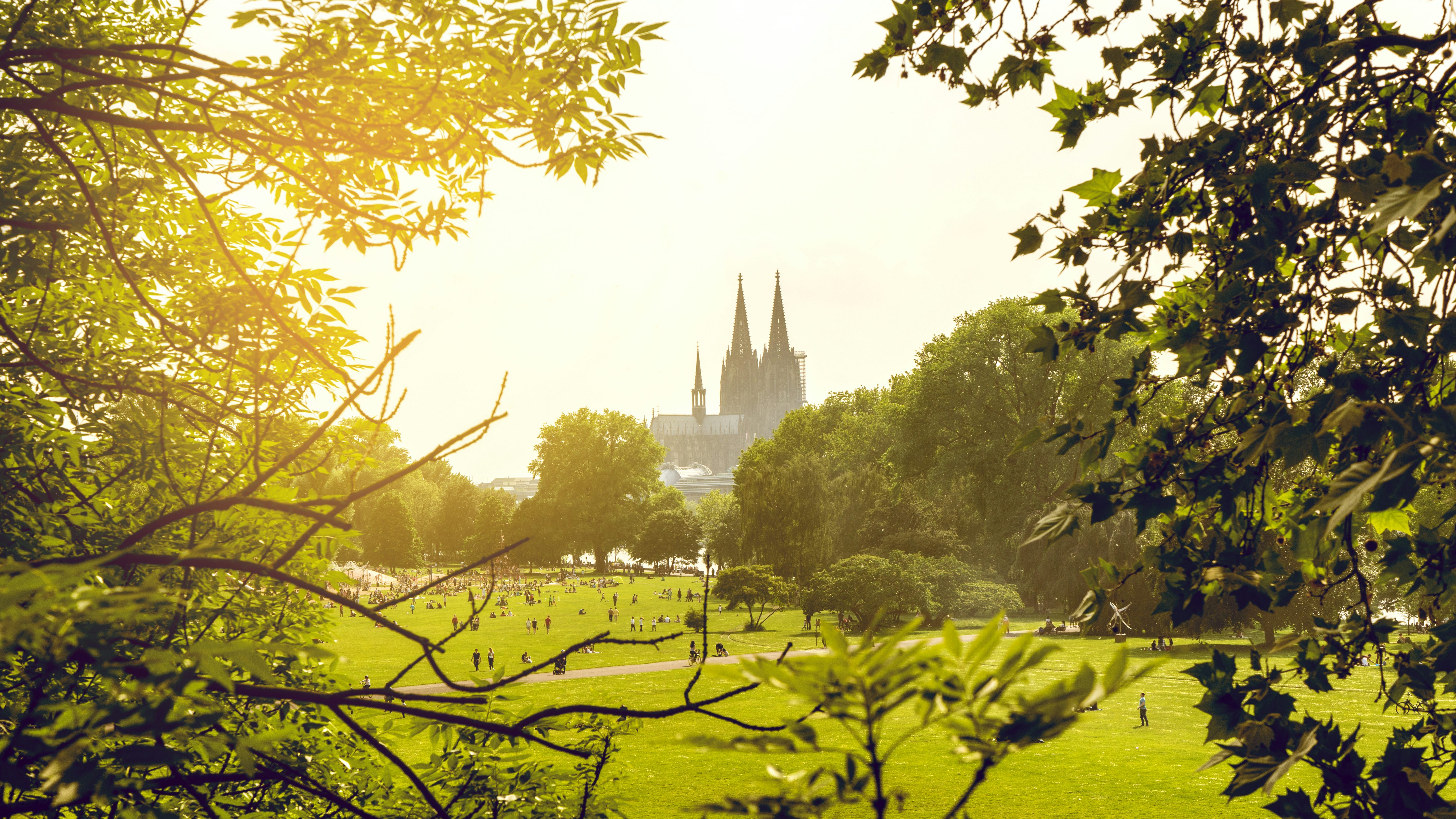 Things to do in Cologne : Museums and attractions | musement