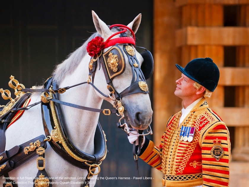 Royal Mews and Changing of the Guard with afternoon English tea | musement