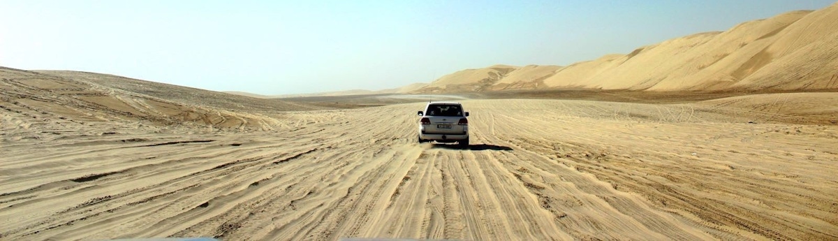 Full Day Desert Safari with BBQ & Souk Al Wakra Tour | musement