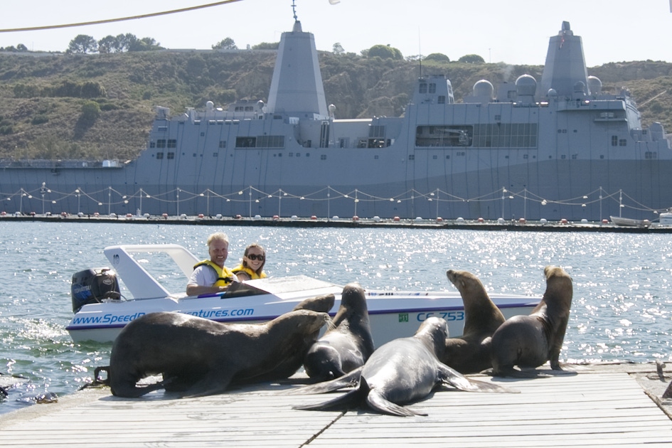 San Diego speed boat adventure tour | musement