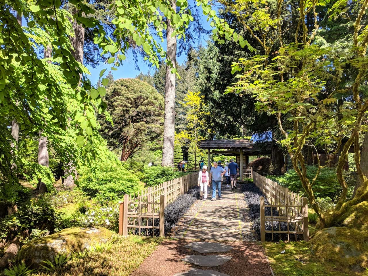 Qué hacer en Seattle: Atracciones y museos | musement