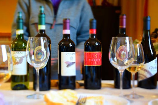 Cesani Wine Experience | musement
