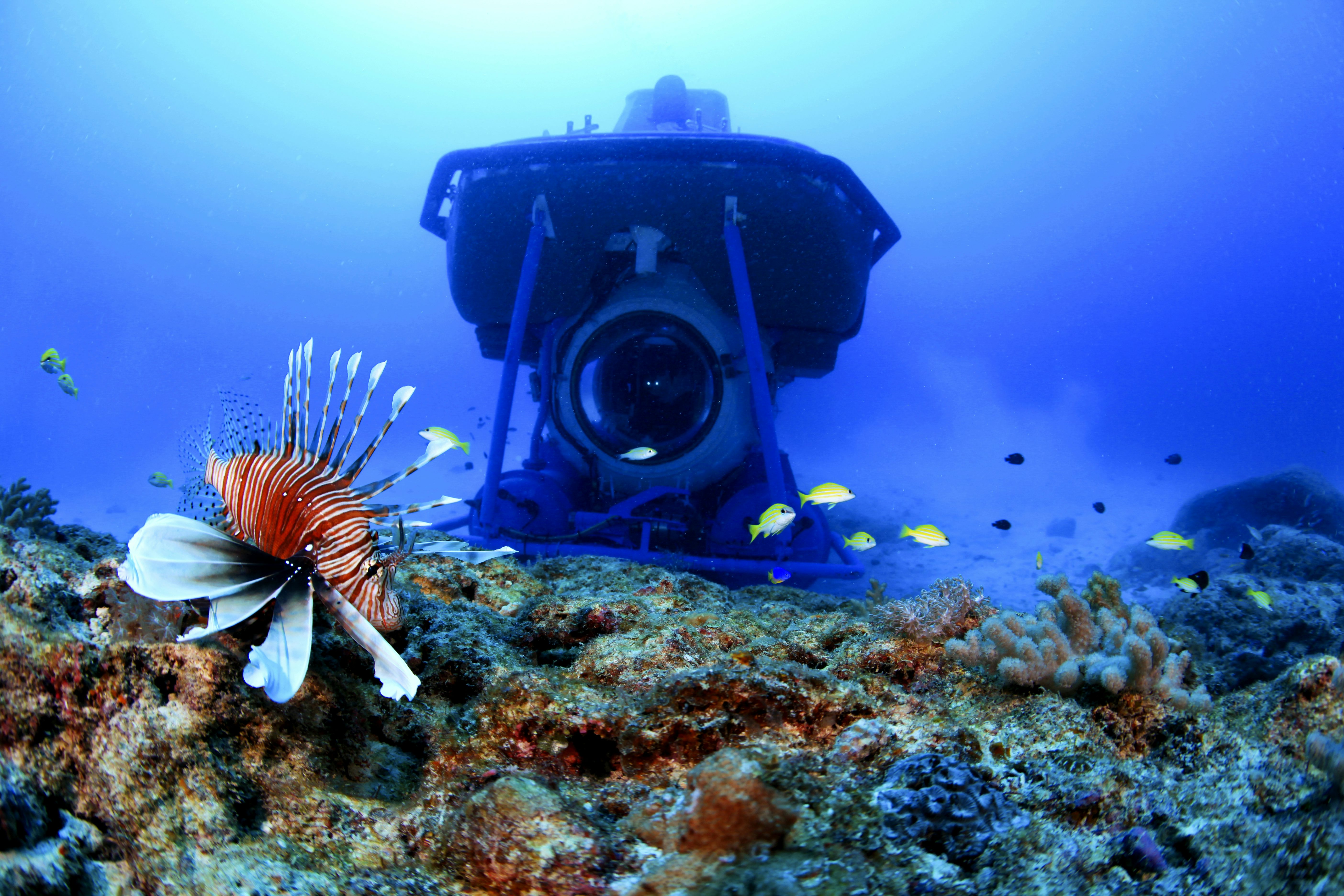 Mauritius Island | musement