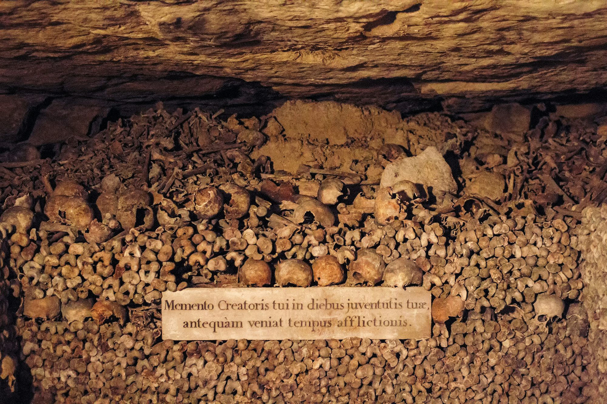Paris Catacombs Tickets and Tours | musement