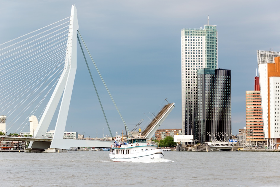 Rotterdam City Tour & Harbour Cruise | musement