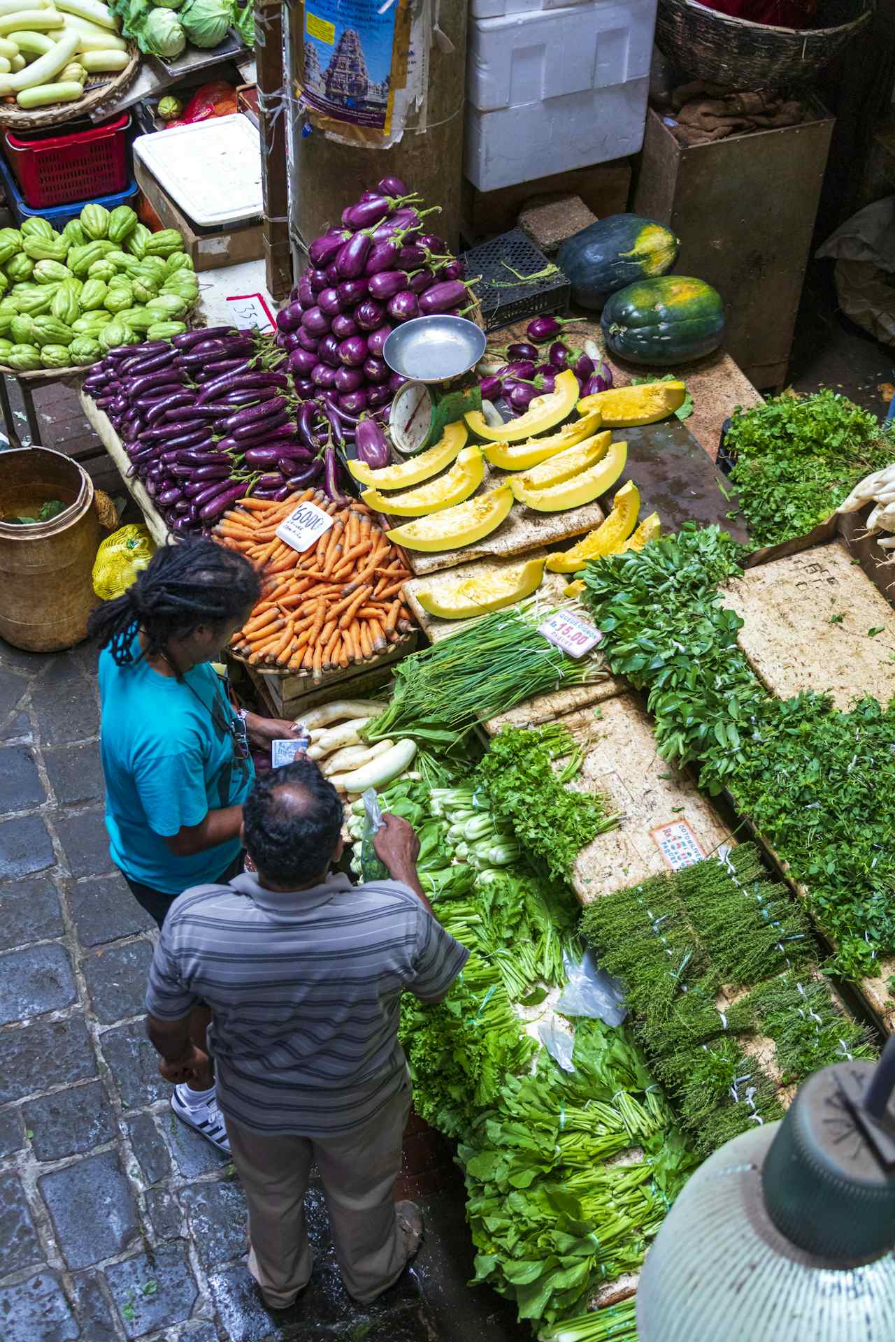 Northern Mauritius tour with Sugar World and botanical garden | TUI ...