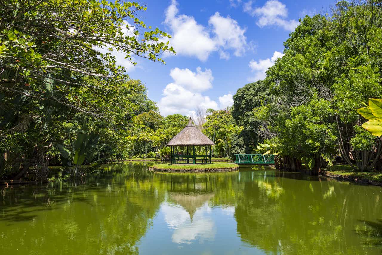 Northern Mauritius tour with Sugar World and botanical garden | TUI ...