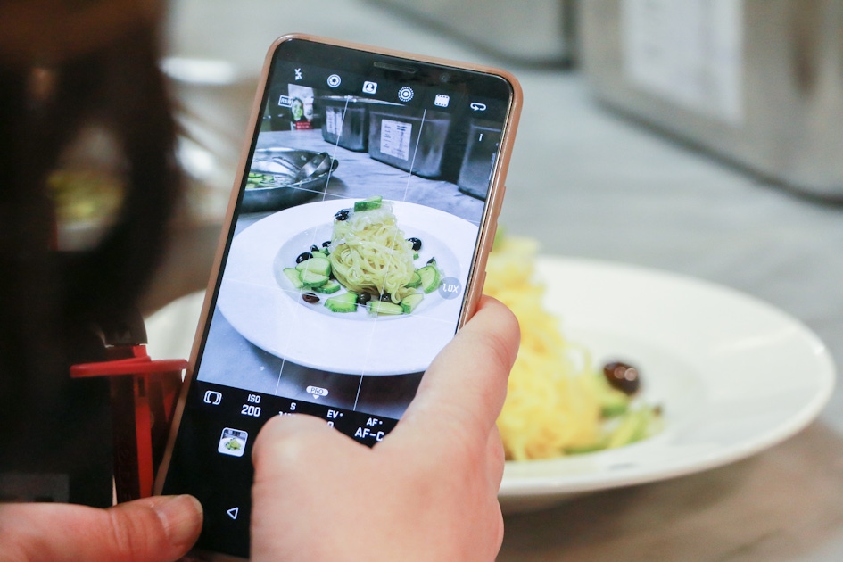 FICO Food Park full day experience from Florence. | musement