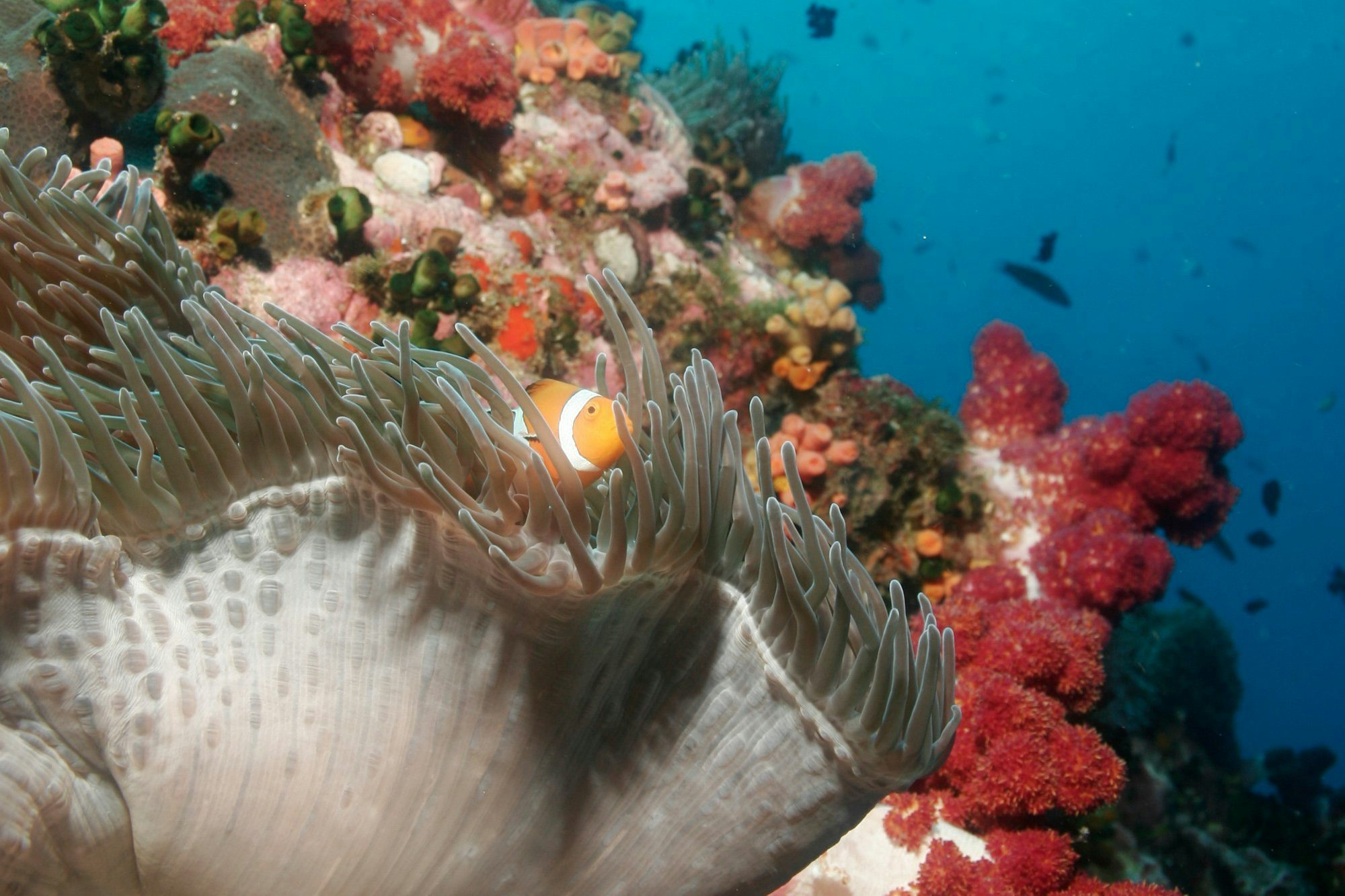 Things to do in Koh Lanta : Museums and attractions | musement