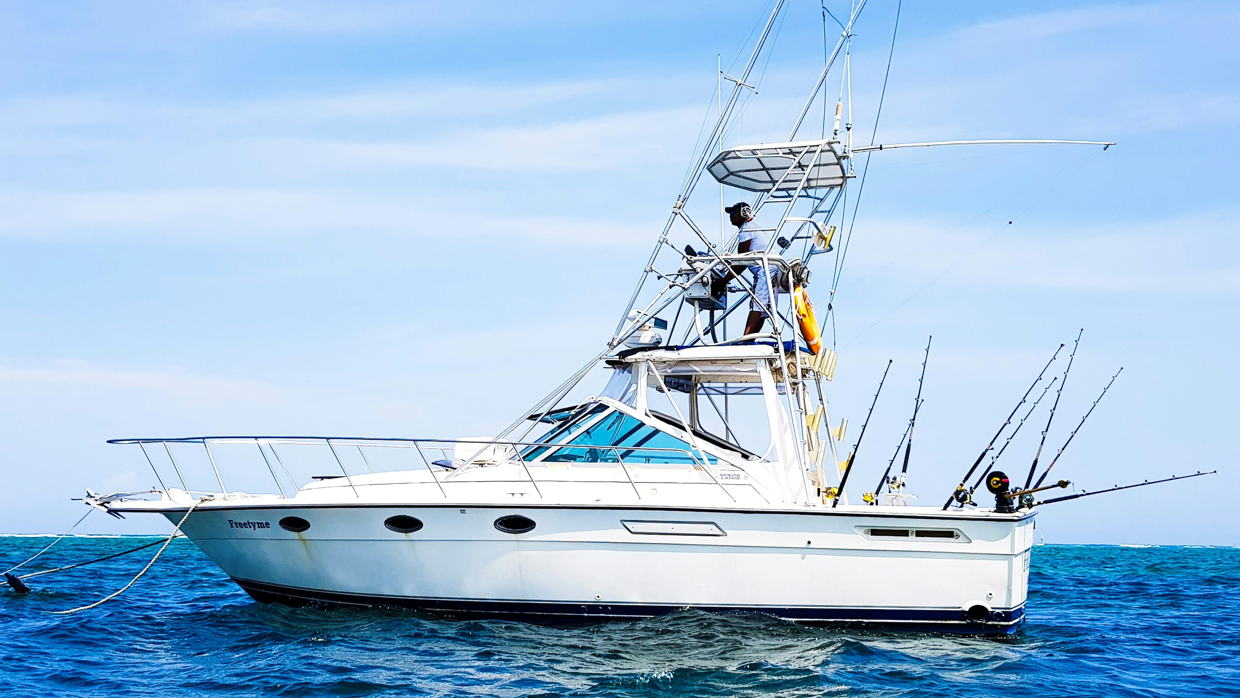 Mombasa deep sea fishing tour | musement