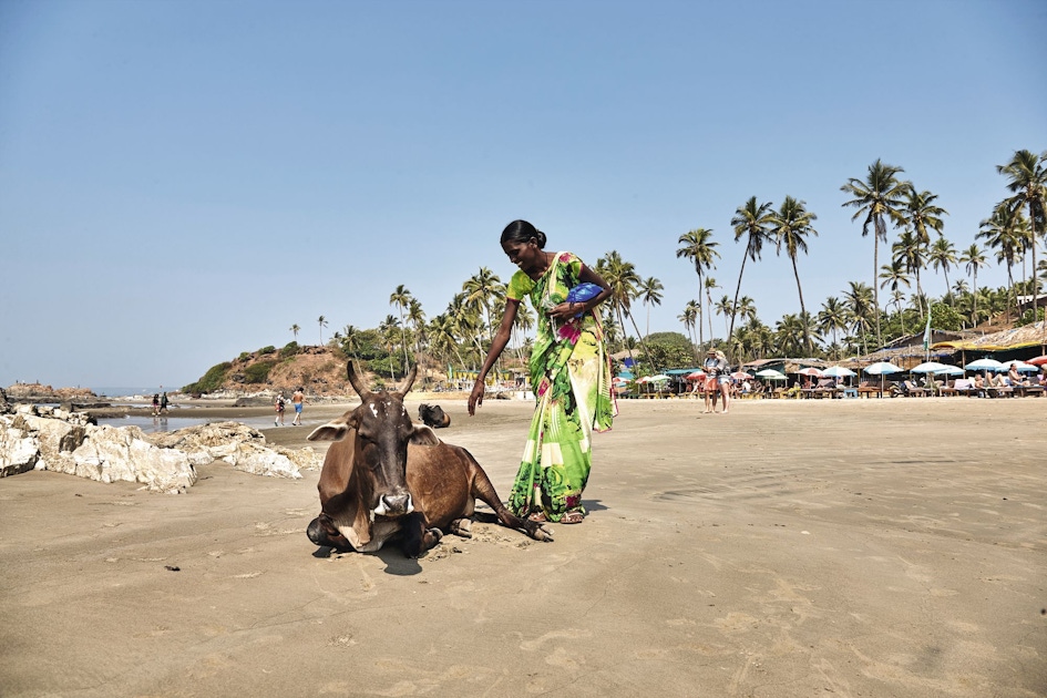 South Goa Tour | musement