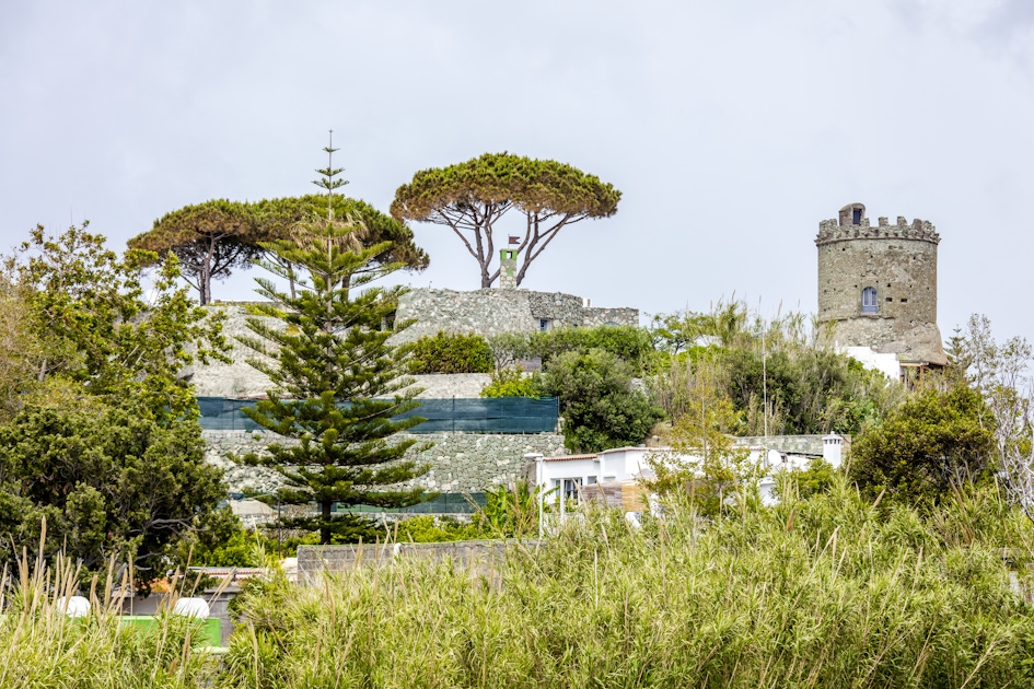 Ischia Vineyards and Wine Tour | musement