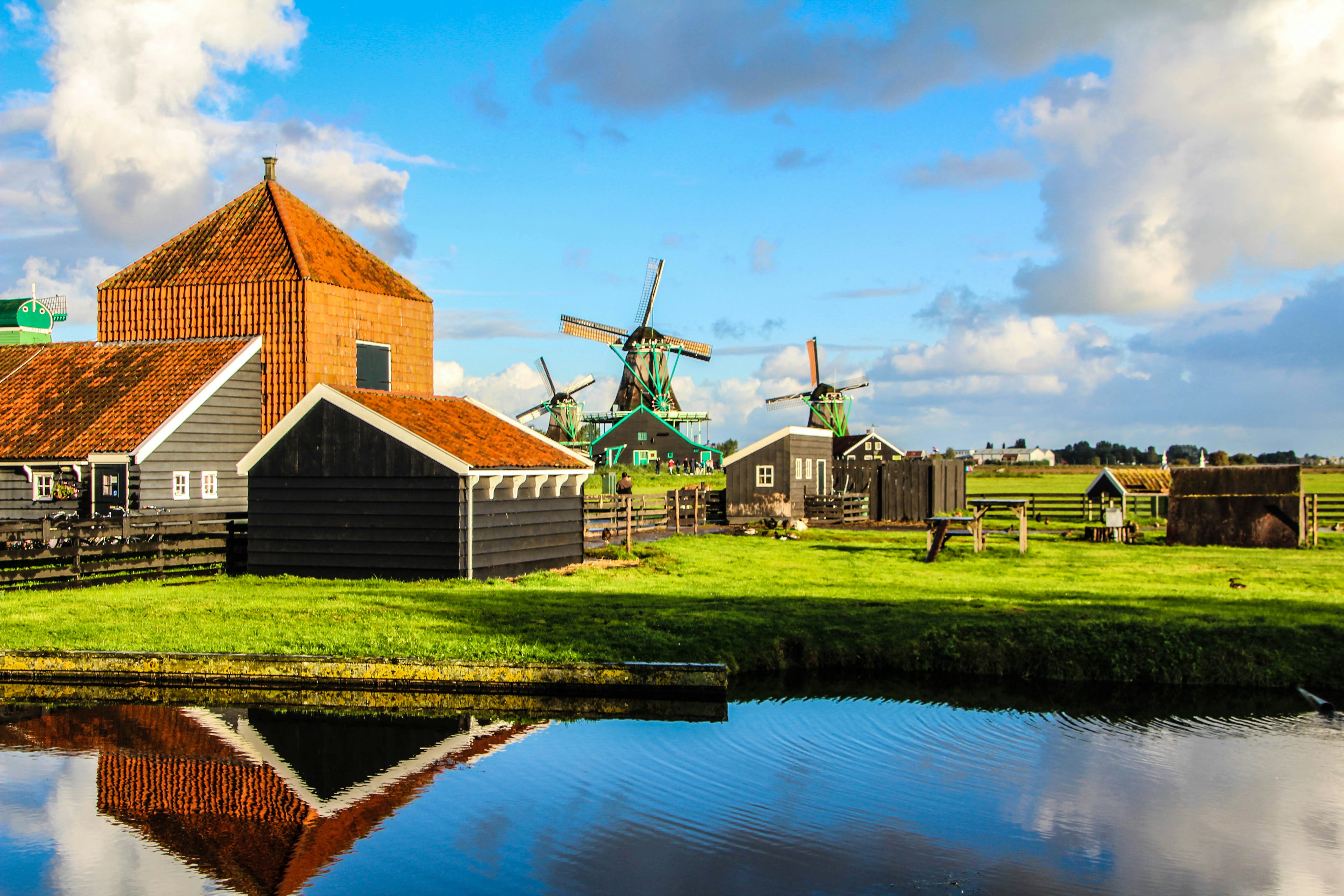 Mulini a vento nei dintorni di Amsterdam | musement