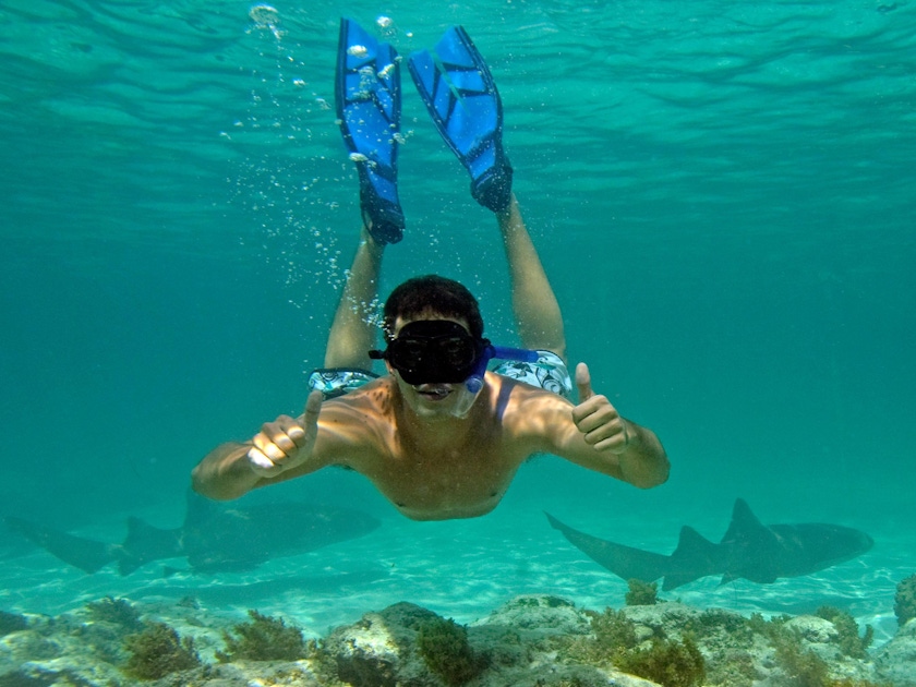 Cabeza de Toro Reserve Glass-Bottom Catamaran Cruise | musement