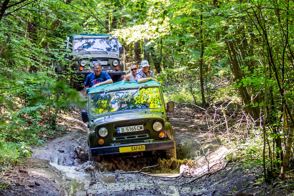 Off-Road Forest Adventure | musement