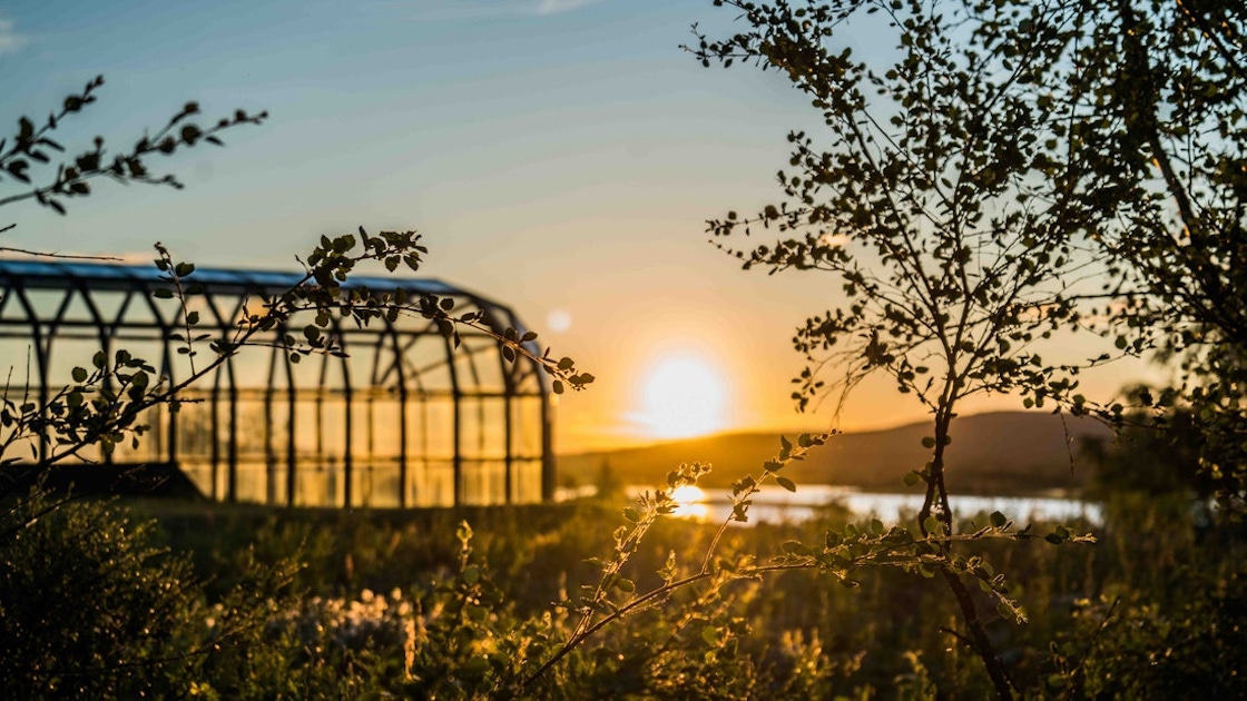 Enjoy the midnight sun during a photography tour | musement