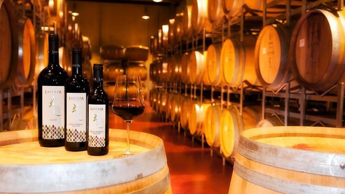 Wine tasting - 1 Day Tour | musement