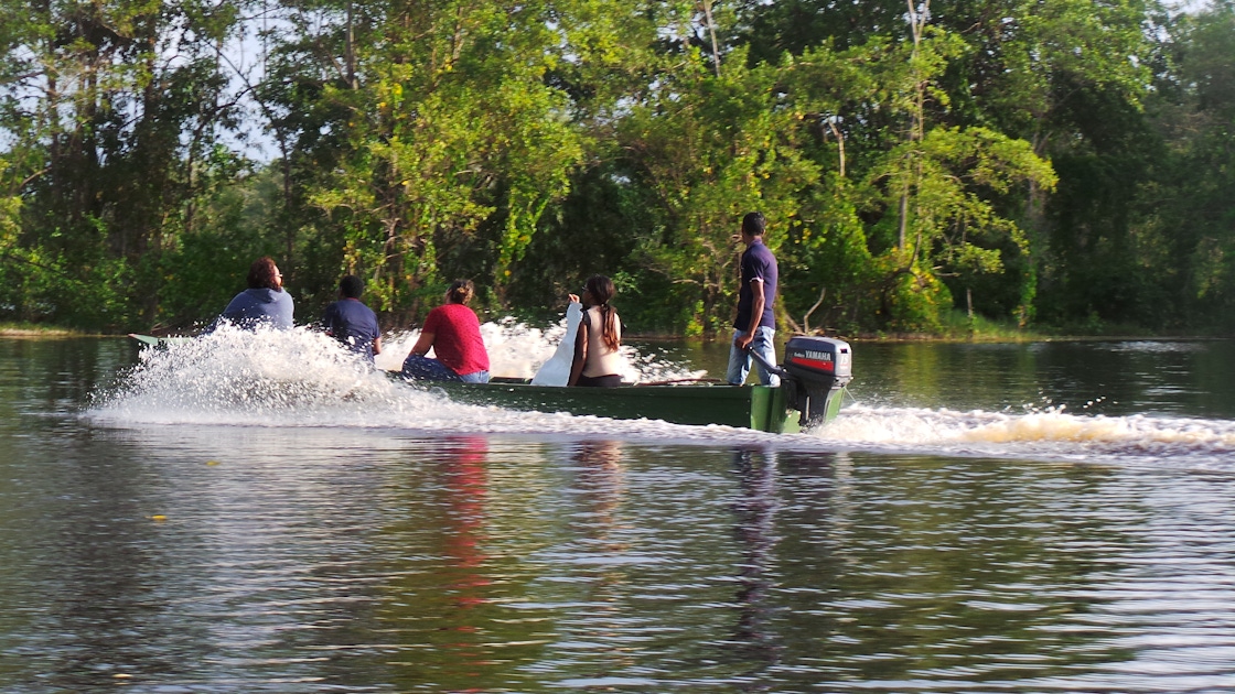 Marsh and Mangrove half-day nature adventure | musement