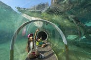 Zoo Miami General Admission Tickets Or Food Package Musement