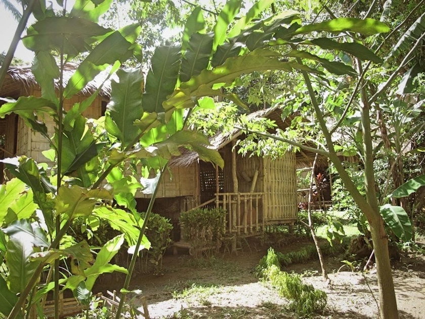 Motag living museum tour | musement