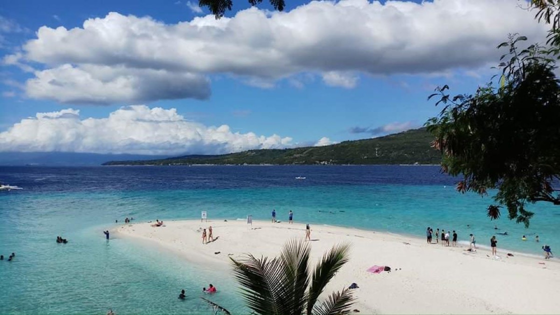 Full-day Oslob whale shark and Sumilon sandbar | musement