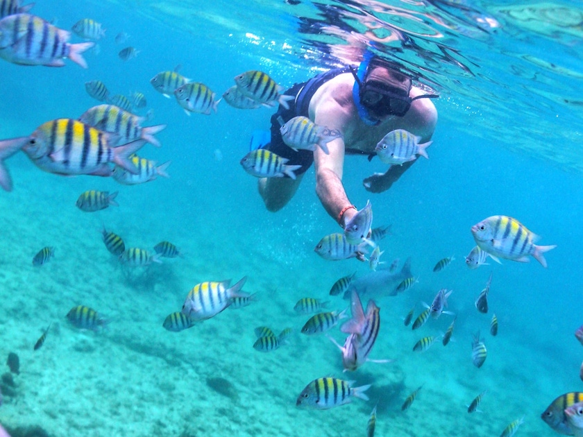 Punta Venado Beach Club Snorkelling & Stand-up Paddle Tour | musement