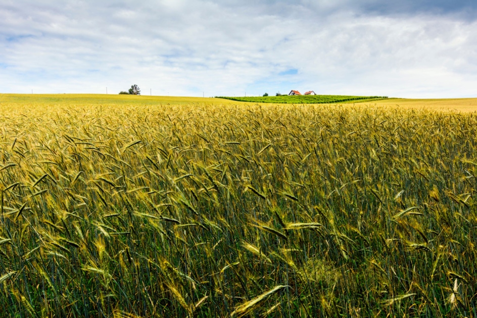 Explore o passado e o presente da região de Prekmurje | musement