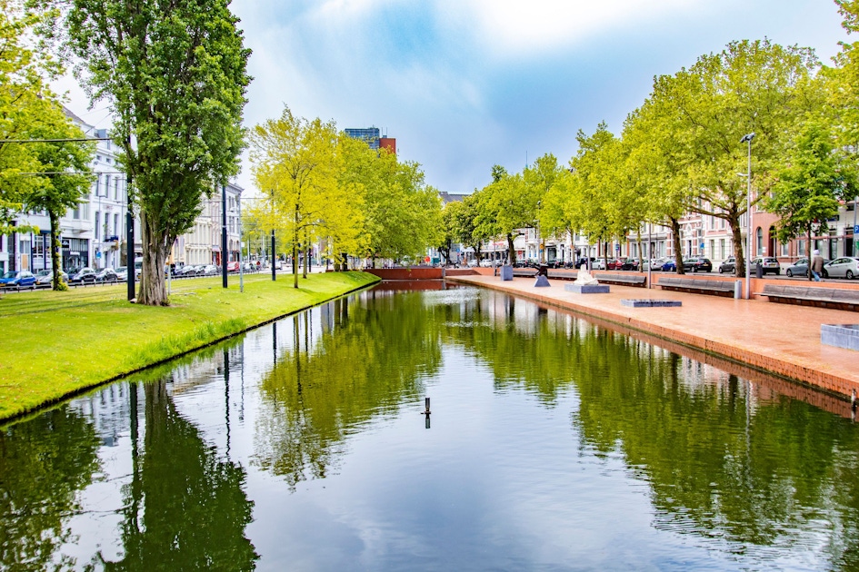 Best Intro Tour of Rotterdam with a Local | musement