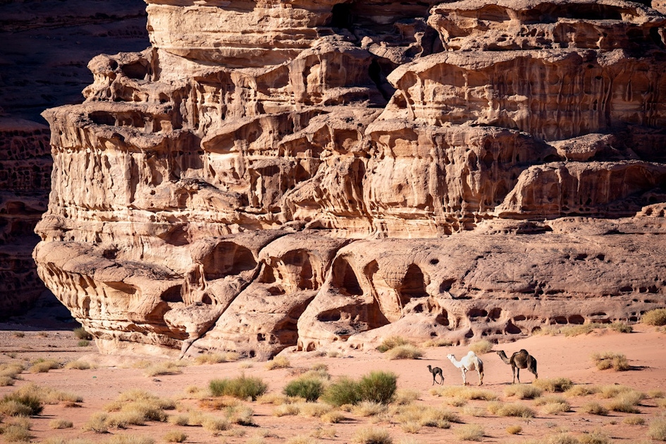 Full-day Tabuk city tour | musement