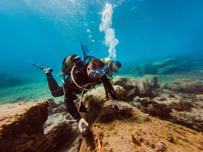 Adapted Diving Experience in Tenerife | musement