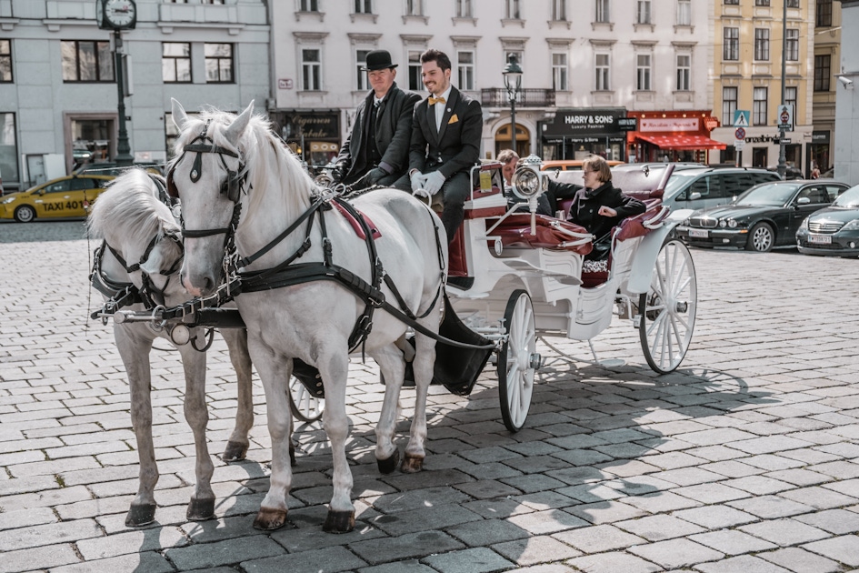 Secrets of the Viennese Fiaker and carriage ride | musement