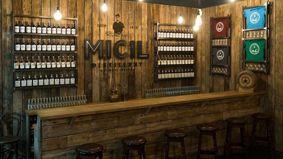 Traditional Irish poitin and gin distillery tour from Galway | musement