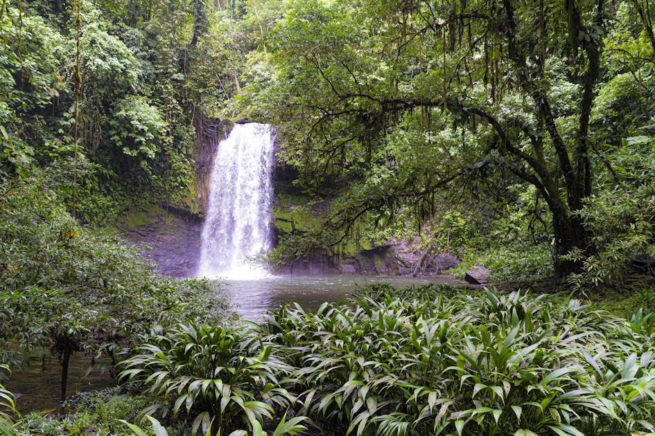 Bucay waterfalls hiking tour | musement