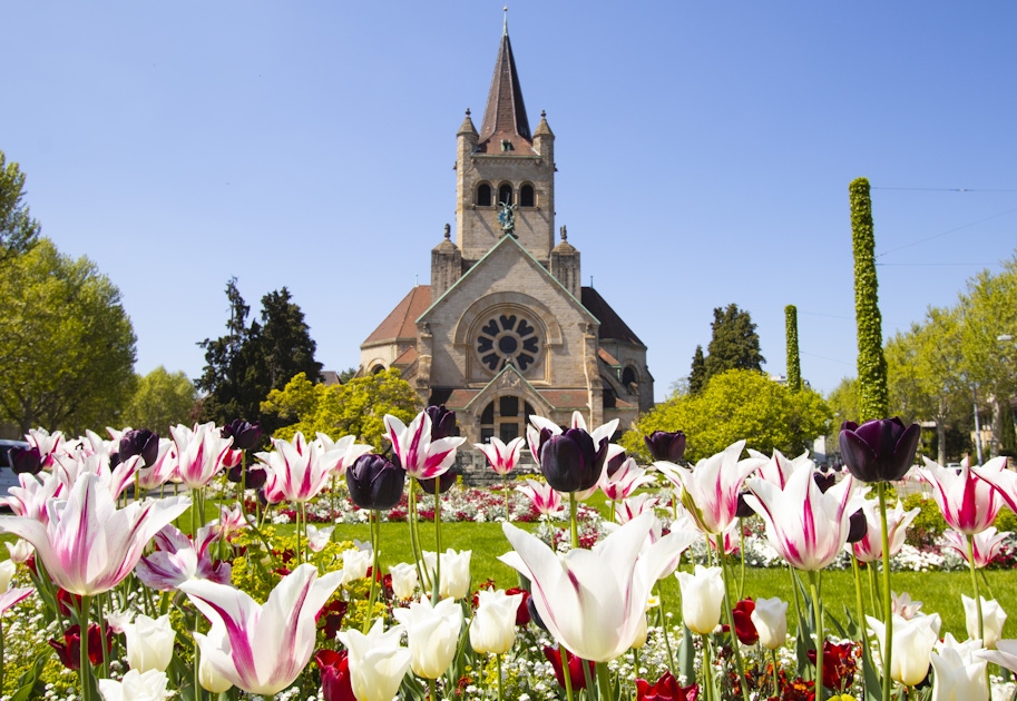 Exclusive private guided your through the architecture of Basel with a ...