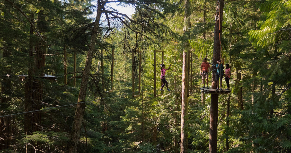 Aerial obstacle course in Cougar Mountain – Full course | musement