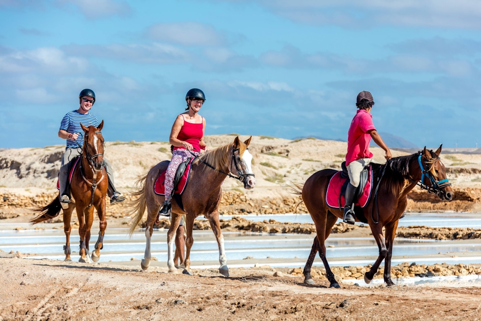 Sal guided horse riding tour | musement