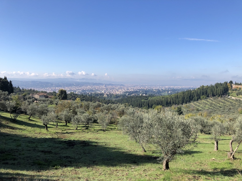 Half-Day Hiking Tour in Fiesole's Hills with Wine and Lunch | musement