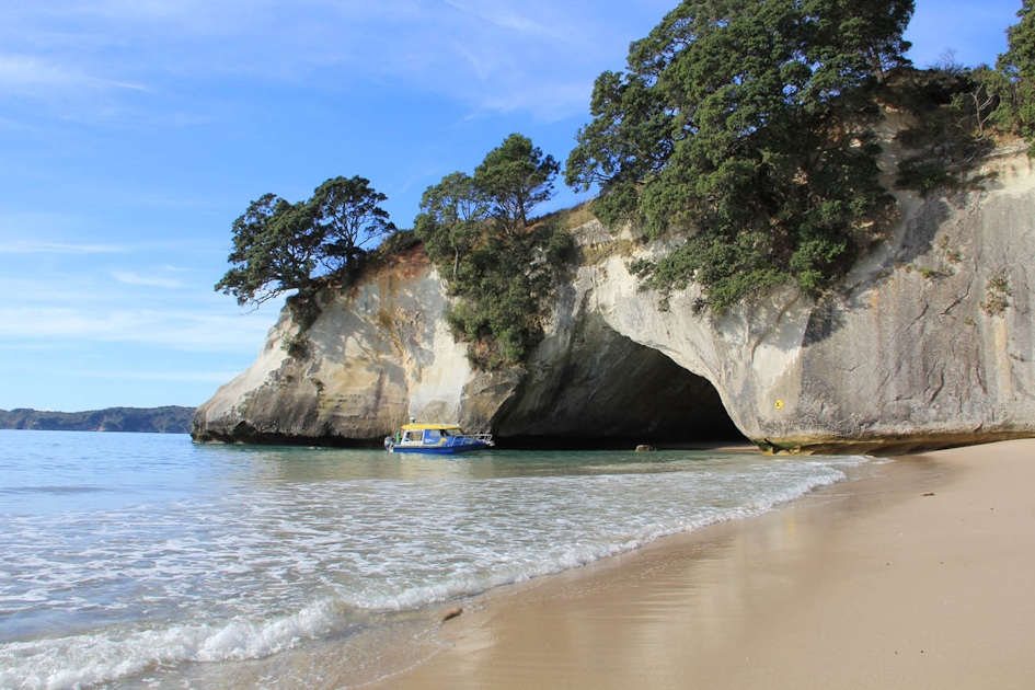 Tour of the Coromandel | musement