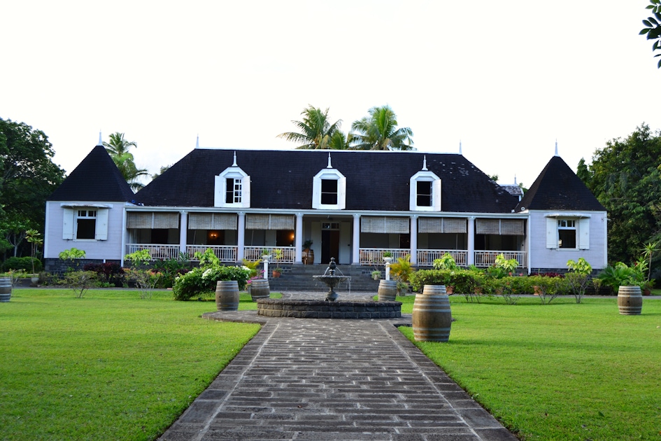 Bois Cheri tea tour | musement