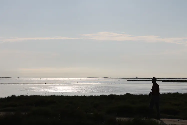 Delta rzeki Ebro między lagunami – wycieczka z przewodnikiem | Biuro ...